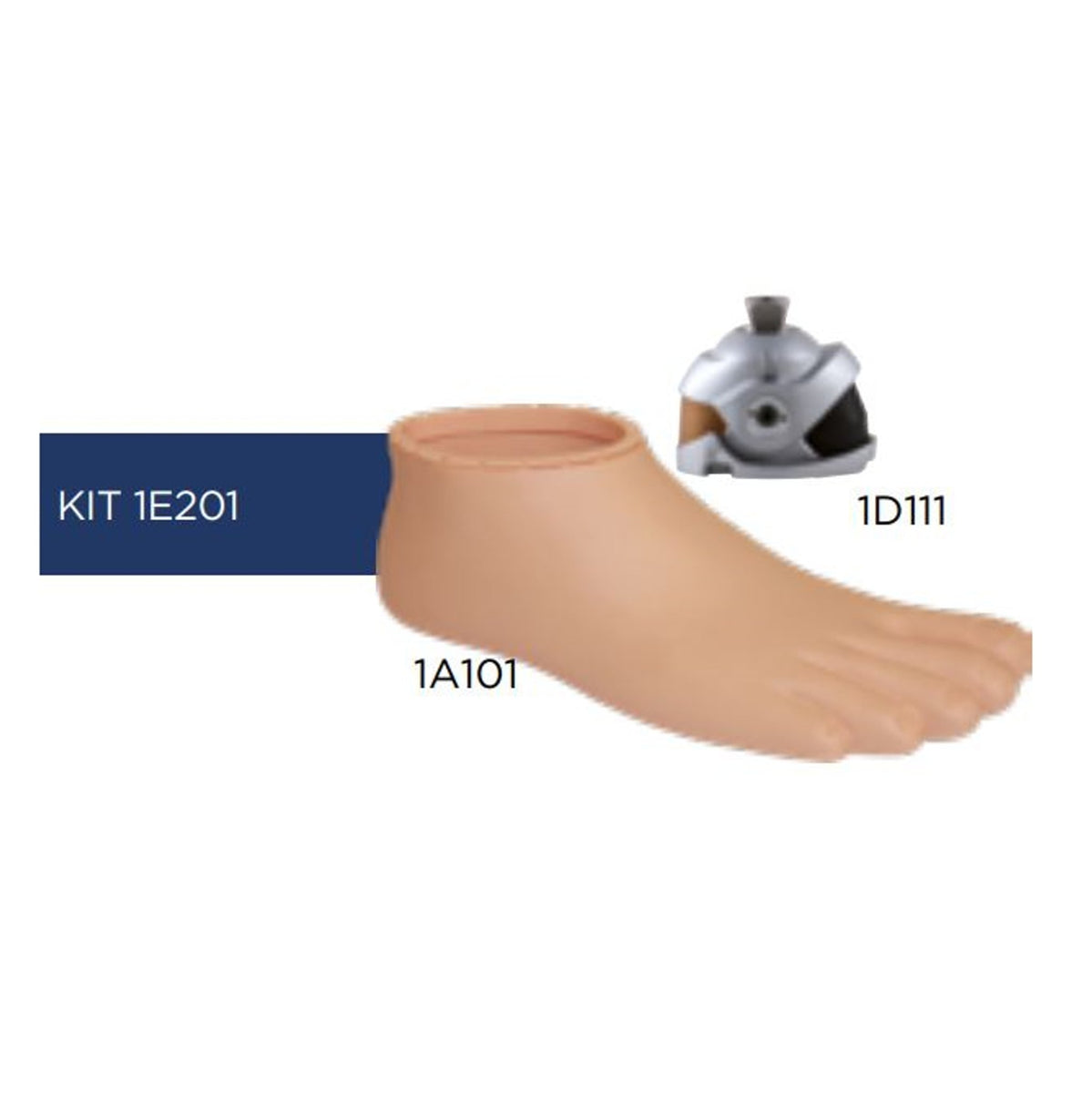 Low activity prosthetic feet | PROTEOR SHOP – PROTEOR shop